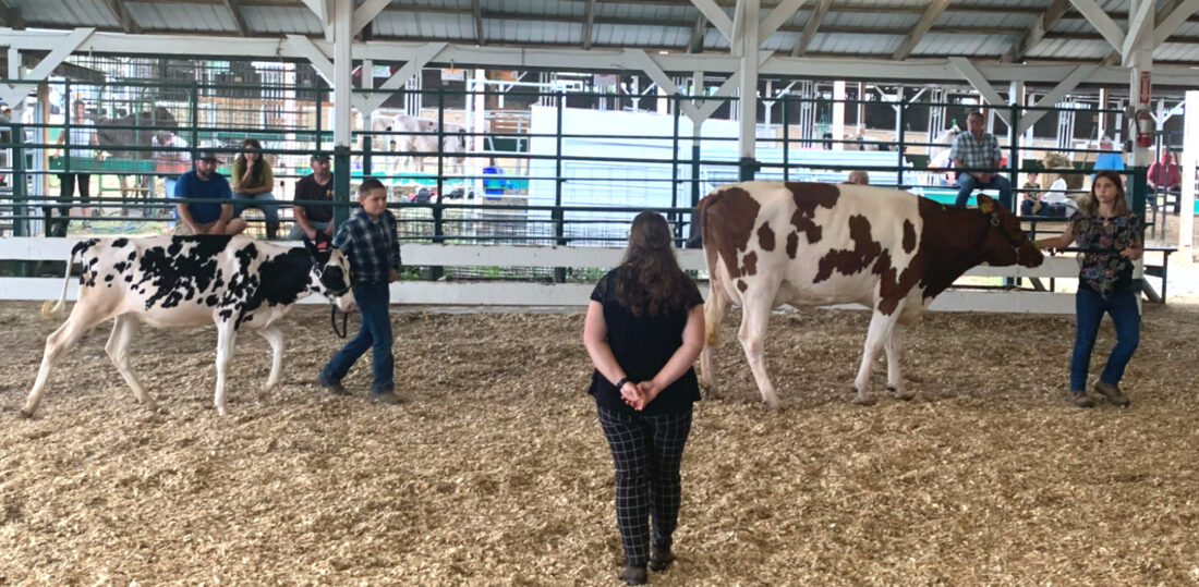 Fair gives local kids chance to shine in and out of the ring | News ...